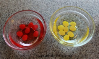 Jelly Bean Science Experiment - FSPDT